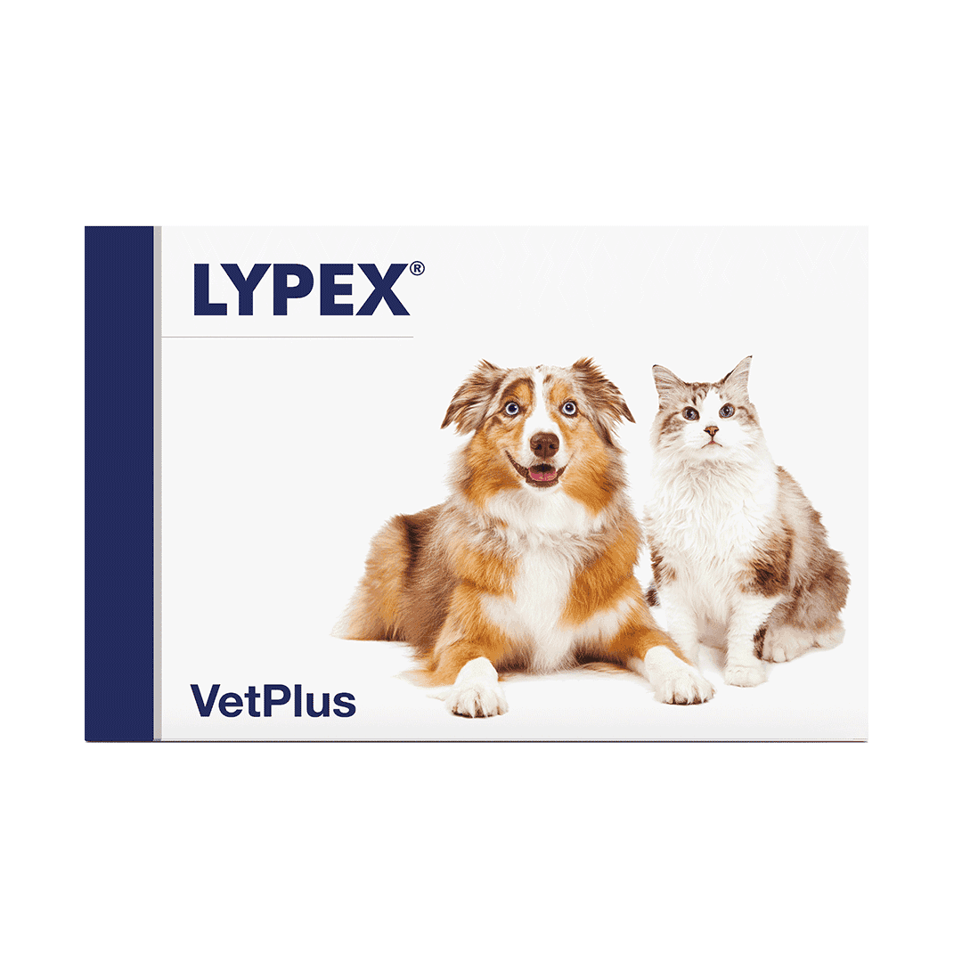 LYPEX ® tablete VetPlus 60tbl - CellulaVet.hr