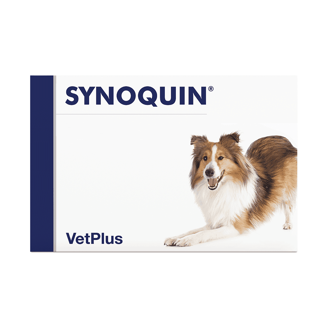 SYNOQUIN MEDIUM BREED 10-25 kg, 30 tableta - CellulaVet.hr