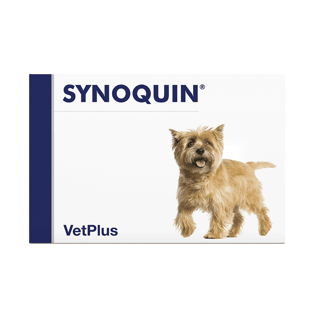 SYNOQUIN SMALL BREED